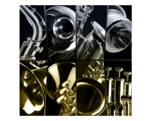 Session Horns Pro – e-instruments